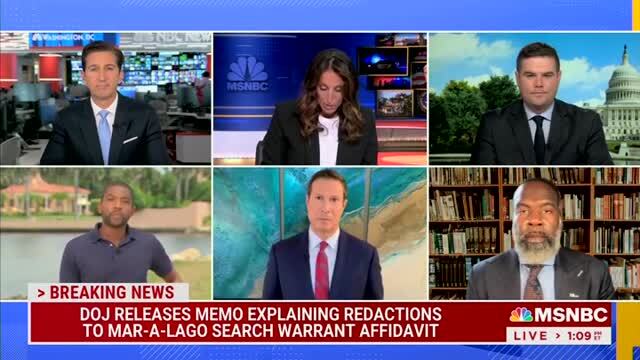 Frank Figliuzzi on Mar-A-Lago Raid Affidavit: ‘Hair on the Back of My ...