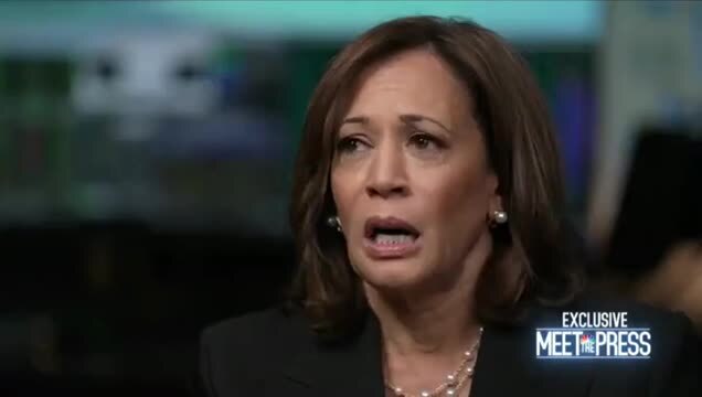 VP Harris: ‘The Border Is Secure,’ Our Immigration System Is Broken ...