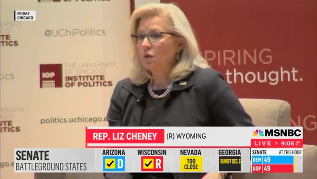 Liz Cheney Says Midterms Were ‘Victory for Team Normal’ :: Grabien ...