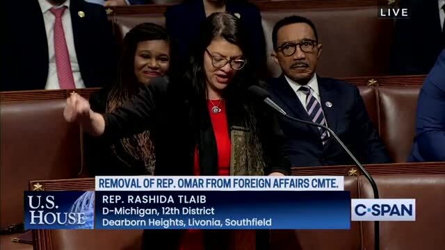 Rep. Tlaib Has a Complete Meltdown, Screaming and Crying Over the ...