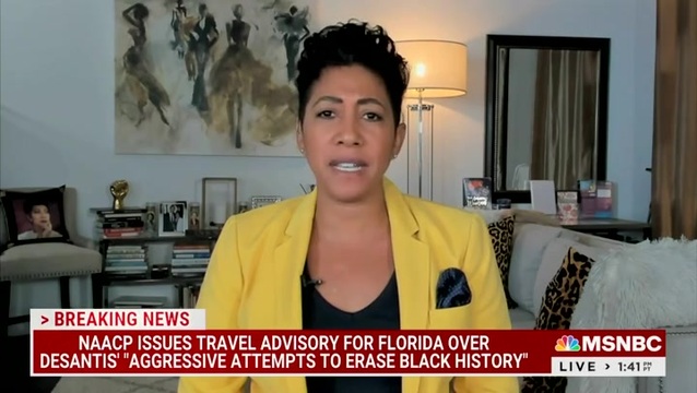 MSNBC Guest: I Just Went to Florida for Spring Break Even Though It’s a ...