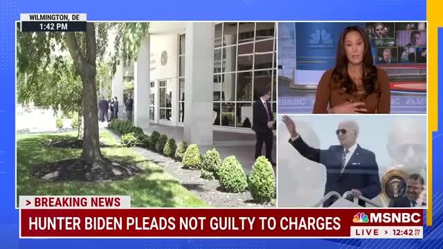 MSNBC’s Elise Jordan: ‘Political Malpractice’ For Biden Admin to Rely ...