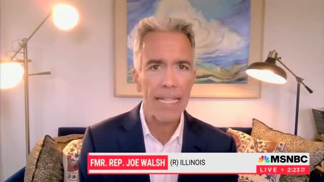 Fmr. GOP Rep. Joe Walsh: ‘My Former Political Party Is a Cult’ (clip ...