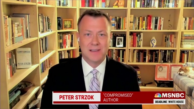 MSNBC’s Pete Strzok: We Need a Special Unit to Protect FBI Agents from ...
