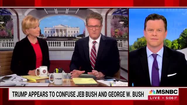 ‘Morning Joe’ Panel Goes on Rant Against Trump for Confusing Jeb Bush ...