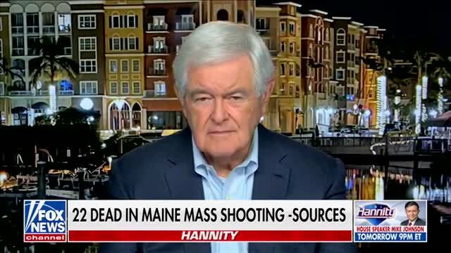 Gingrich on Maine Shooting: Americans Should Have a ‘Greater Ability to ...