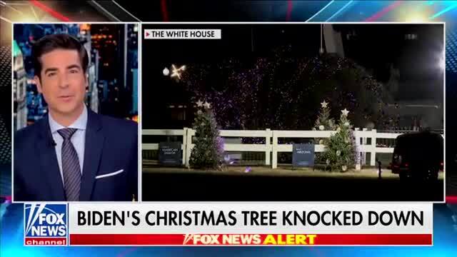 Watters: ‘The White House Christmas Tree Has Taken a Tumble, Just Like ...