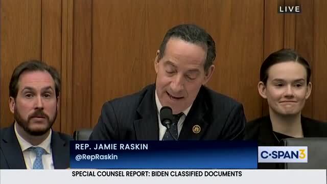 Raskin Goes on a Rant About Ukraine War, Trump and Democracy During Hur ...