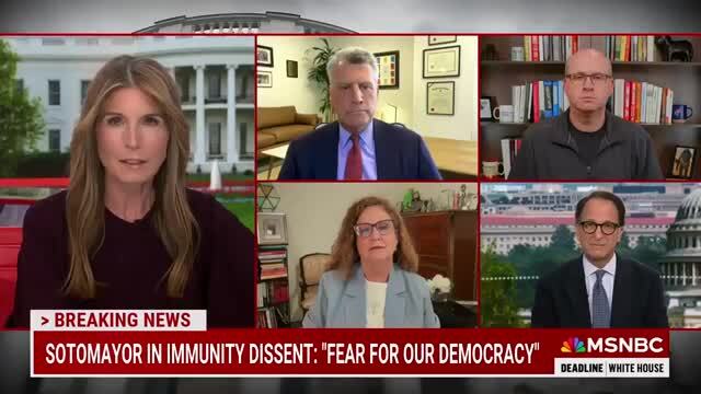 MSNBC’s Wallace on SCOTUS Immunity Ruling: Trump Could Target Me, People Will Flee the Country ...