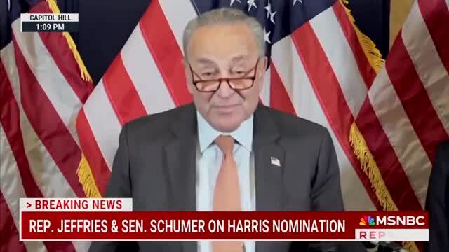 Schumer: ‘We Are Here Today To Throw Our Support Behind VP Kamala ...