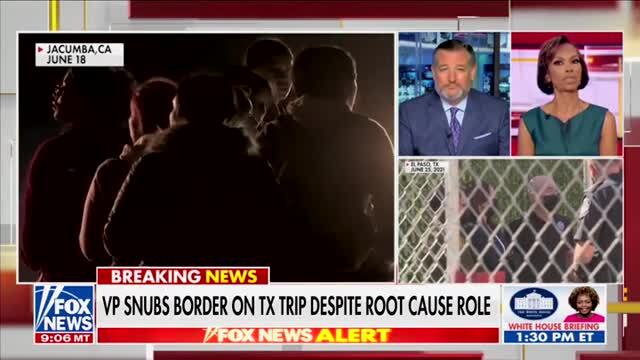 Ted Cruz: Under Harris’ Policies, African-American and Hispanic ...