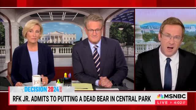 ‘Morning Joe’ Panel Mocks RFK Jr. Over a Story on a Dead Bear in ...