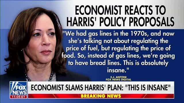 Tricia McLaughlin Appears on ‘Fox News at Night’ To Discuss Kamala ...