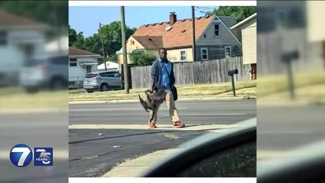 The Viral Image of a Haitian Walking with a Goose Is Not from ...