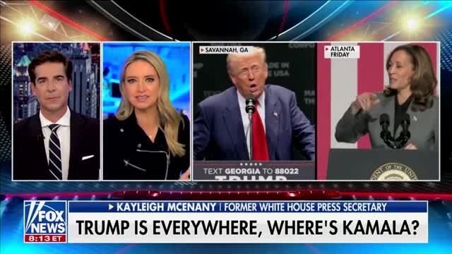 Kayleigh McEnany: Harris Got the ‘Smallest Bounce of Anyone in the Last ...